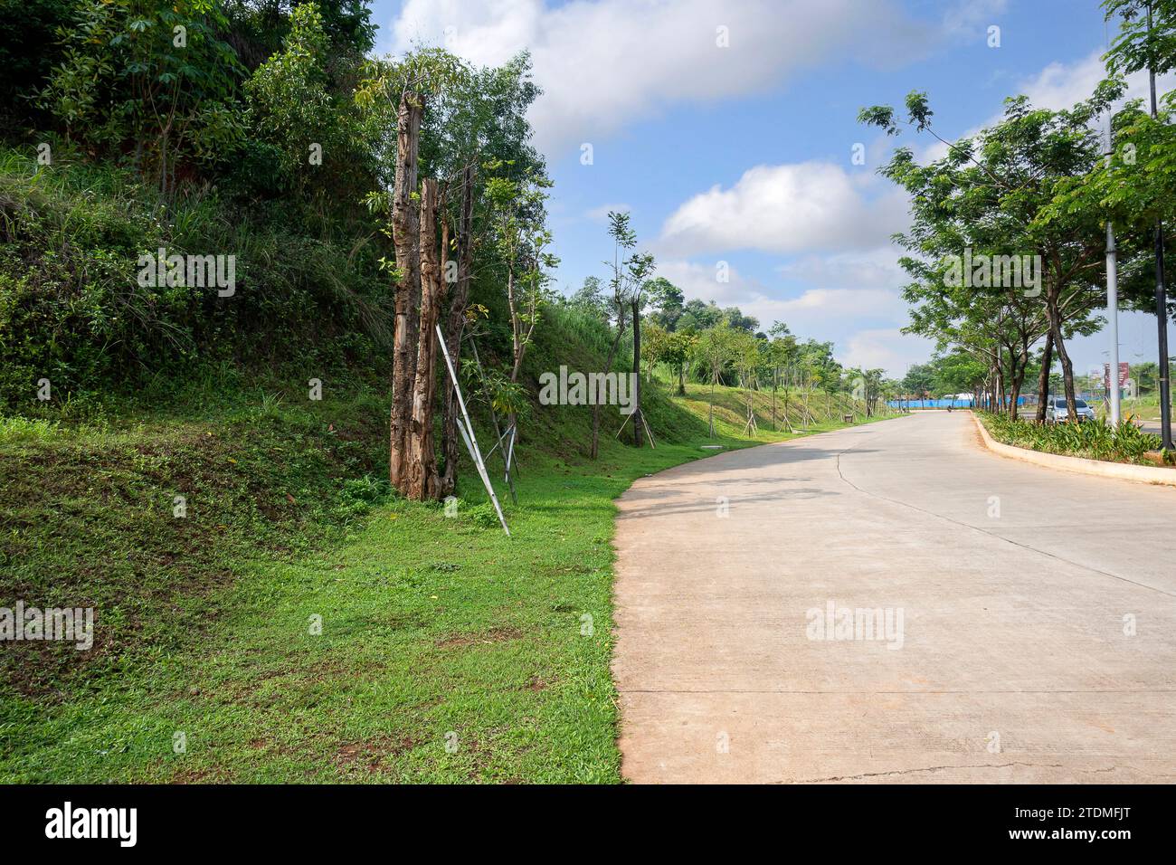 Street with green grass and trees with blue sky background Stock Photo ...