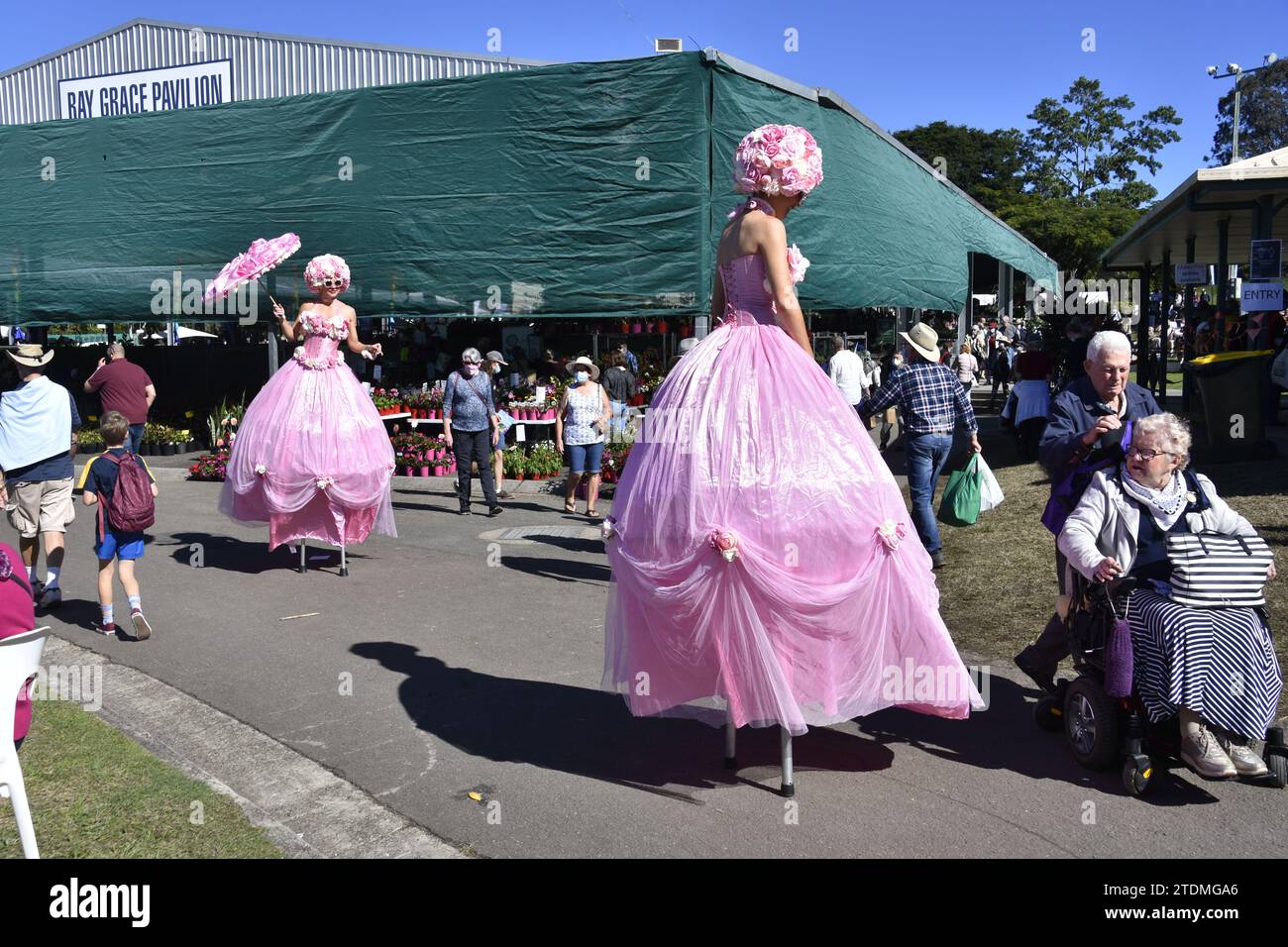 PINK LADIES ON STILTS, STREET PERFORMERS Stock Photo - Alamy