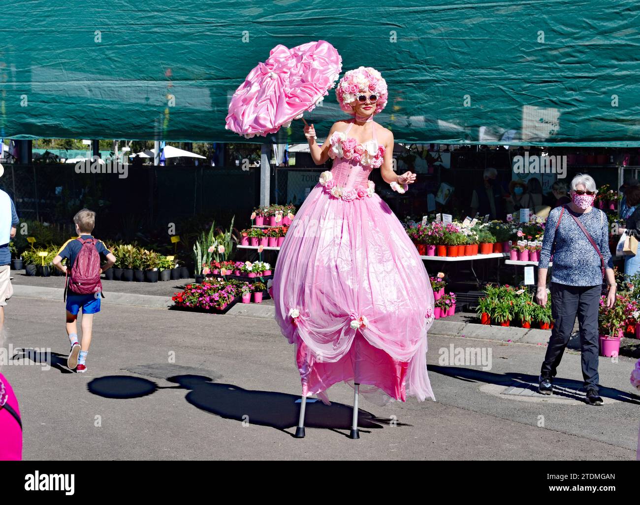 PINK LADIES ON STILTS, STREET PERFORMERS Stock Photo - Alamy