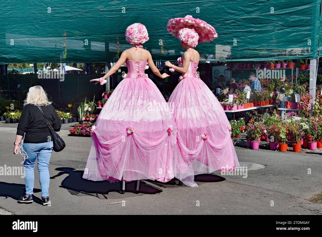 PINK LADIES ON STILTS, STREET PERFORMERS Stock Photo - Alamy