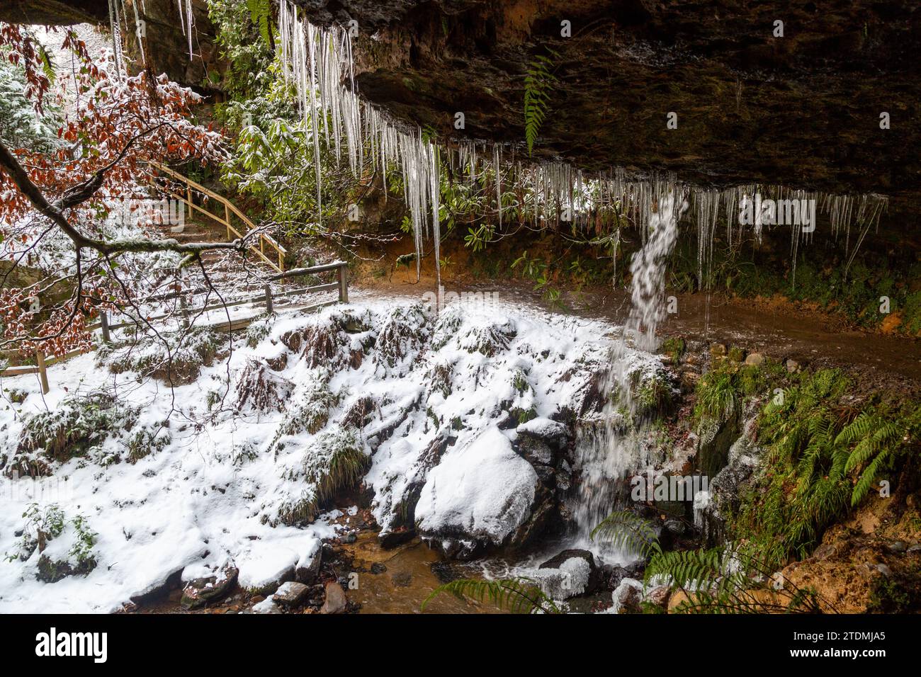 Falkland waterfall hi-res stock photography and images - Alamy
