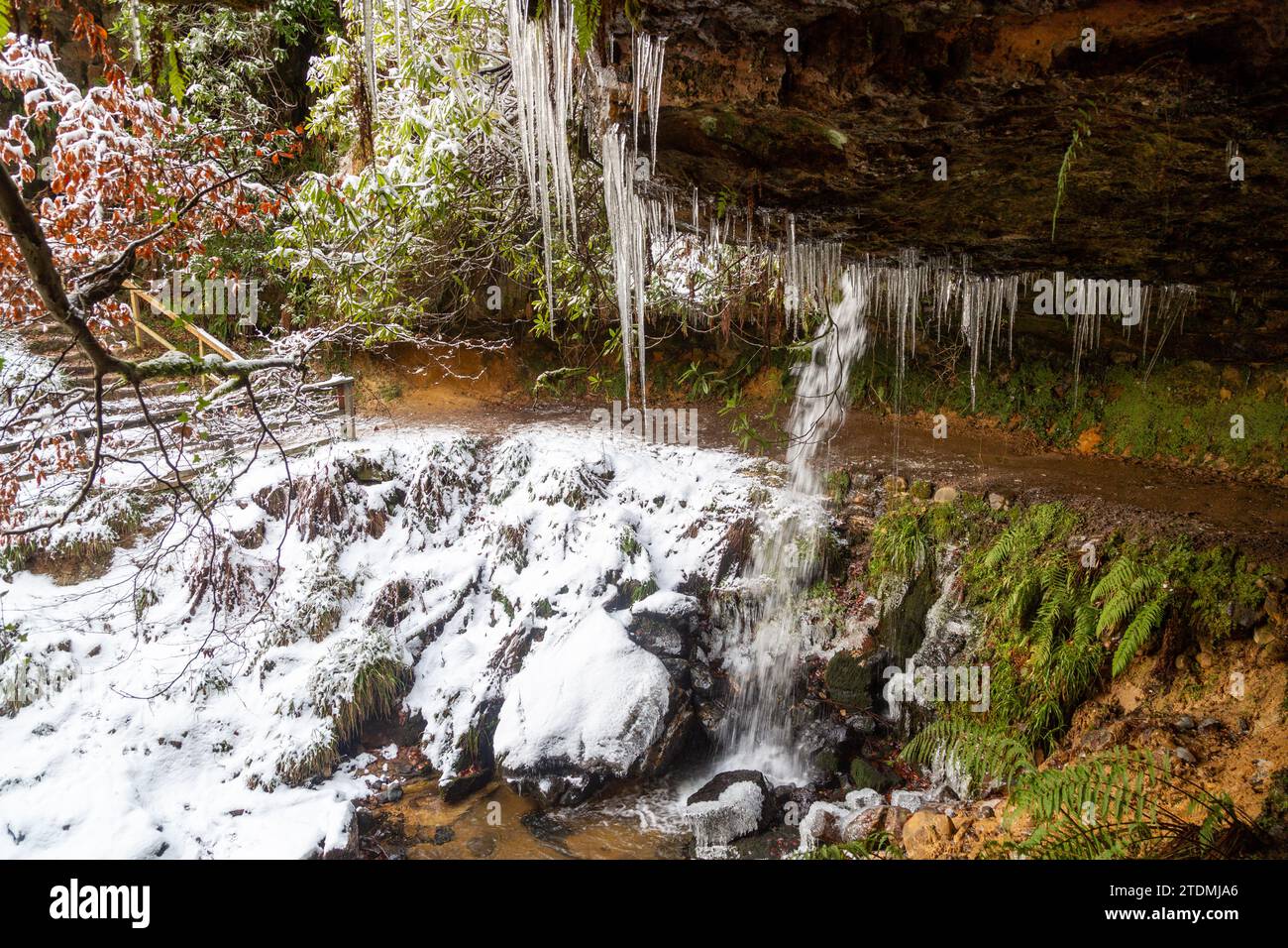 Falkland waterfall hi-res stock photography and images - Alamy