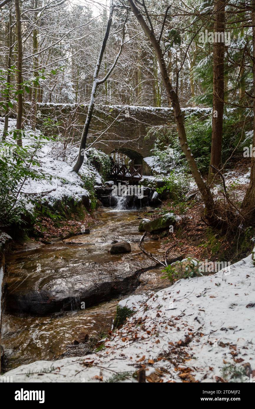 Falkland waterfall hi-res stock photography and images - Alamy