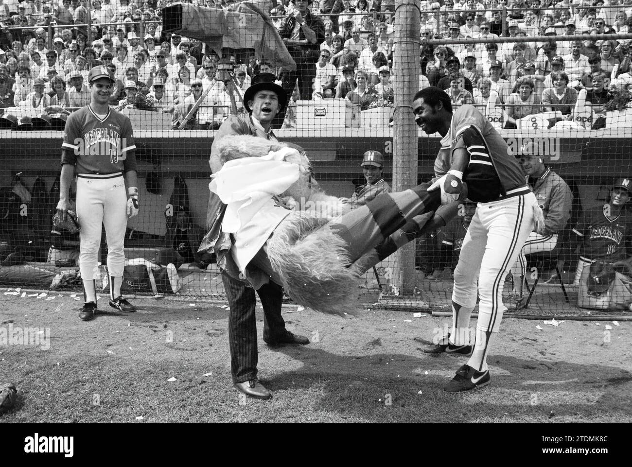 1986 world cup hi-res stock photography and images - Alamy