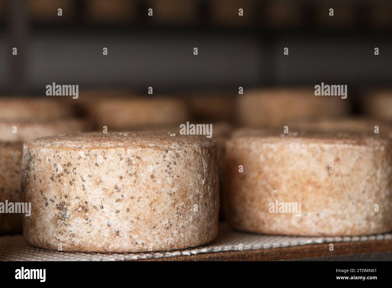 Dried milk process hi-res stock photography and images - Alamy