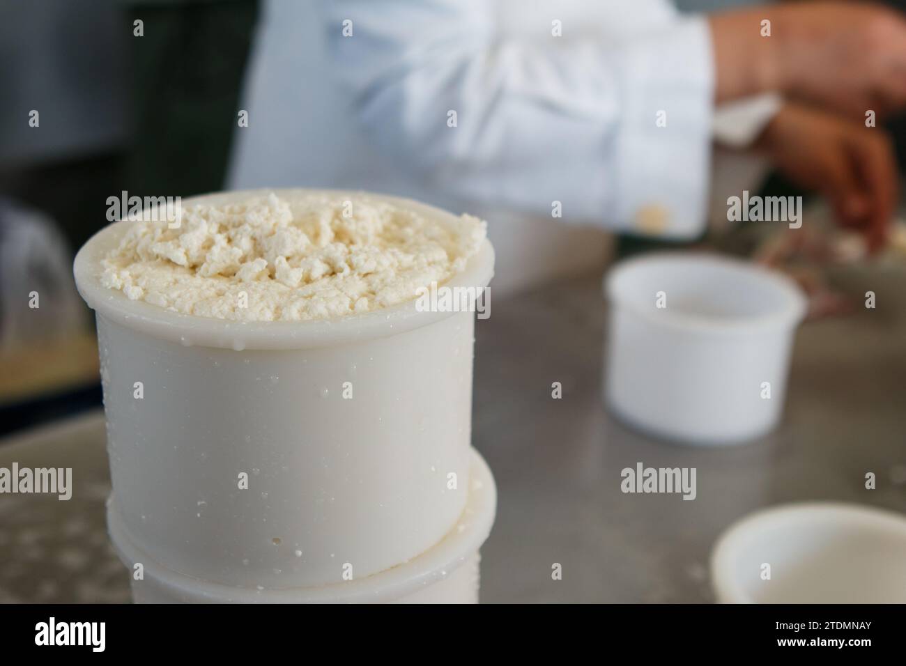 Cheese factory packaging cheese hi-res stock photography and images - Alamy
