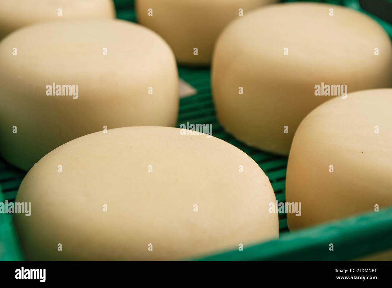 Dried milk process hi-res stock photography and images - Alamy