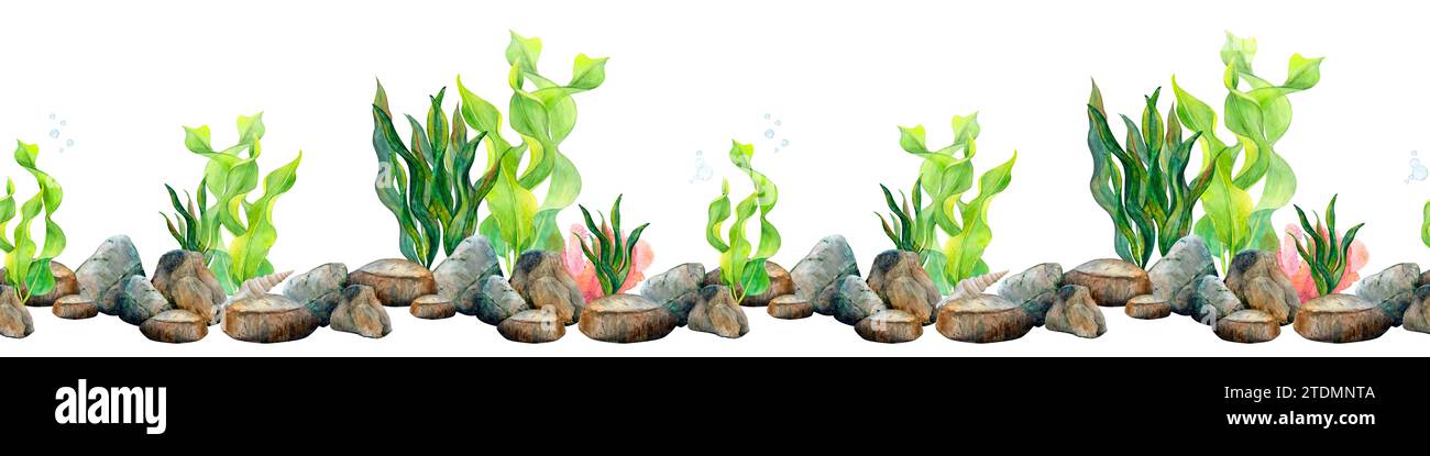 Seaweed and stones grey smooth bottom seamless border. Watercolor ...