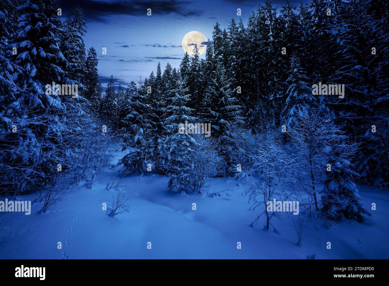 Night background moon tree hi-res stock photography and images - Alamy