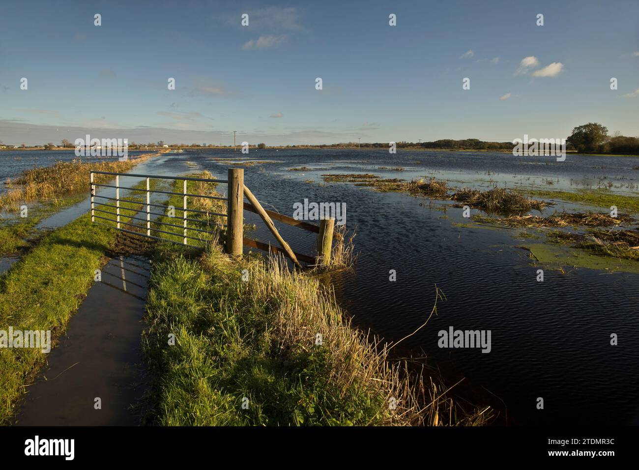 November 15th 2023. Potter Heigham, Norfolk, UK. Flooded land on the ...