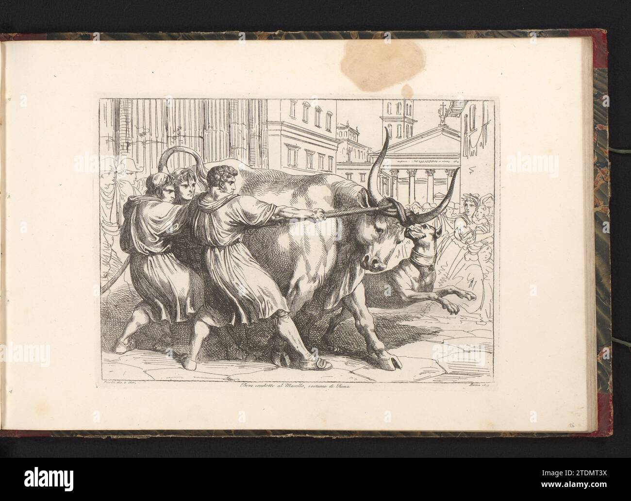 Taurus is led to the slaughterhouse, Bartolomeo Pinelli, 1819 On a city ...