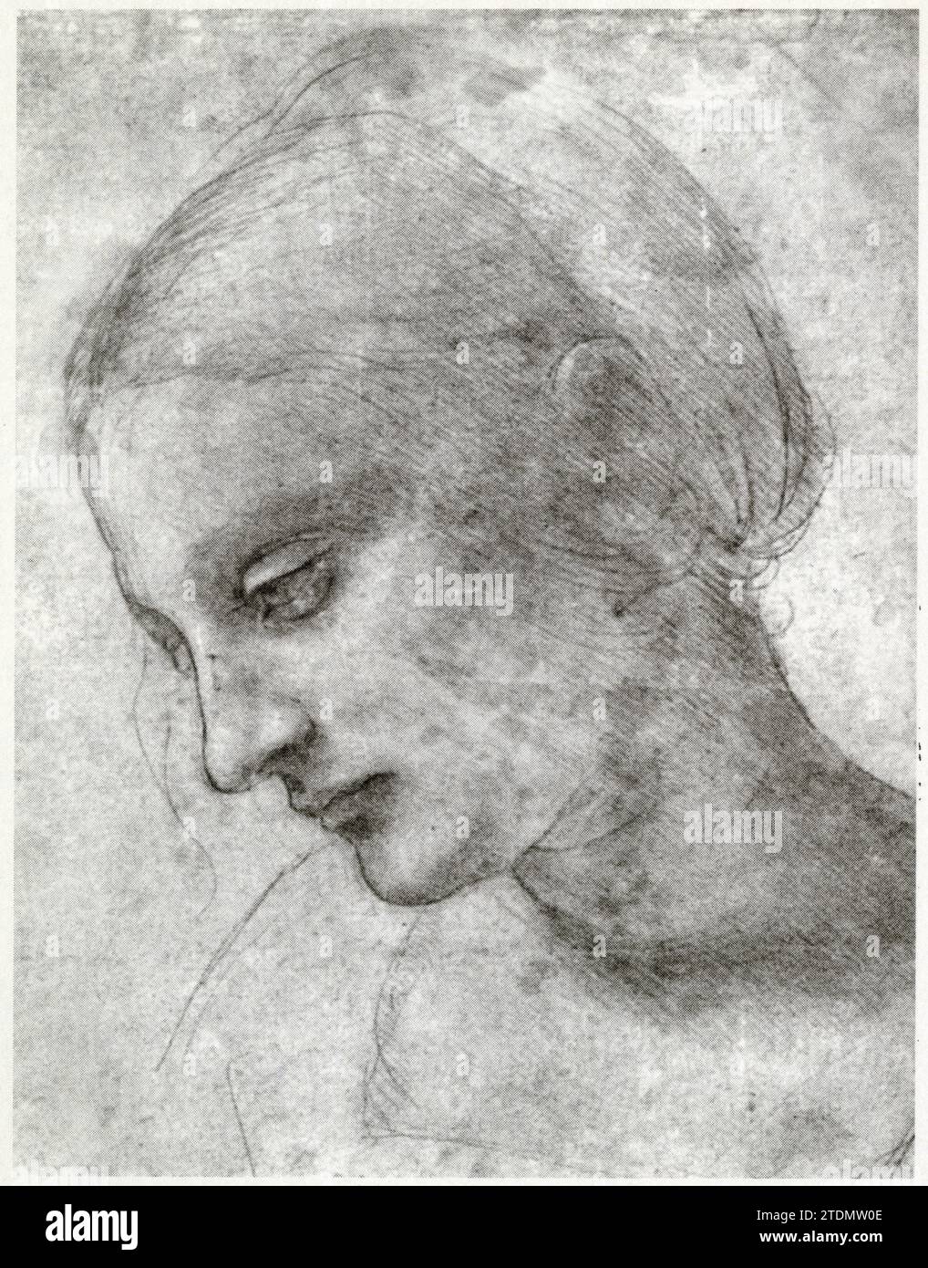 Leonardo da Vinci.Preliminary sketch for Madonna Litta,circa 1476 ...