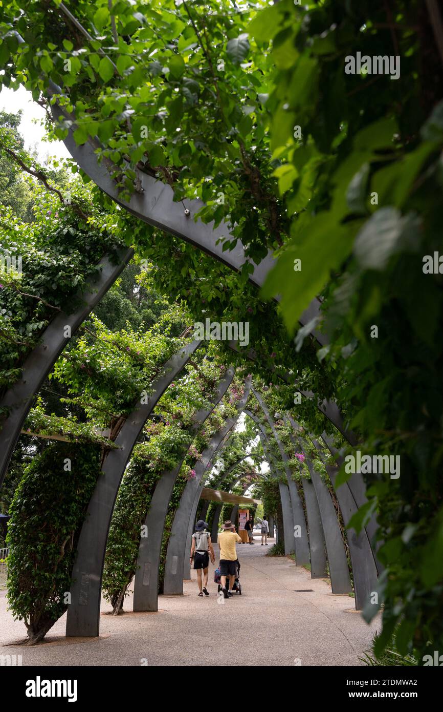 Grand Arbour in South Bank Parklands, Brisbane, Queensland, Australia ...