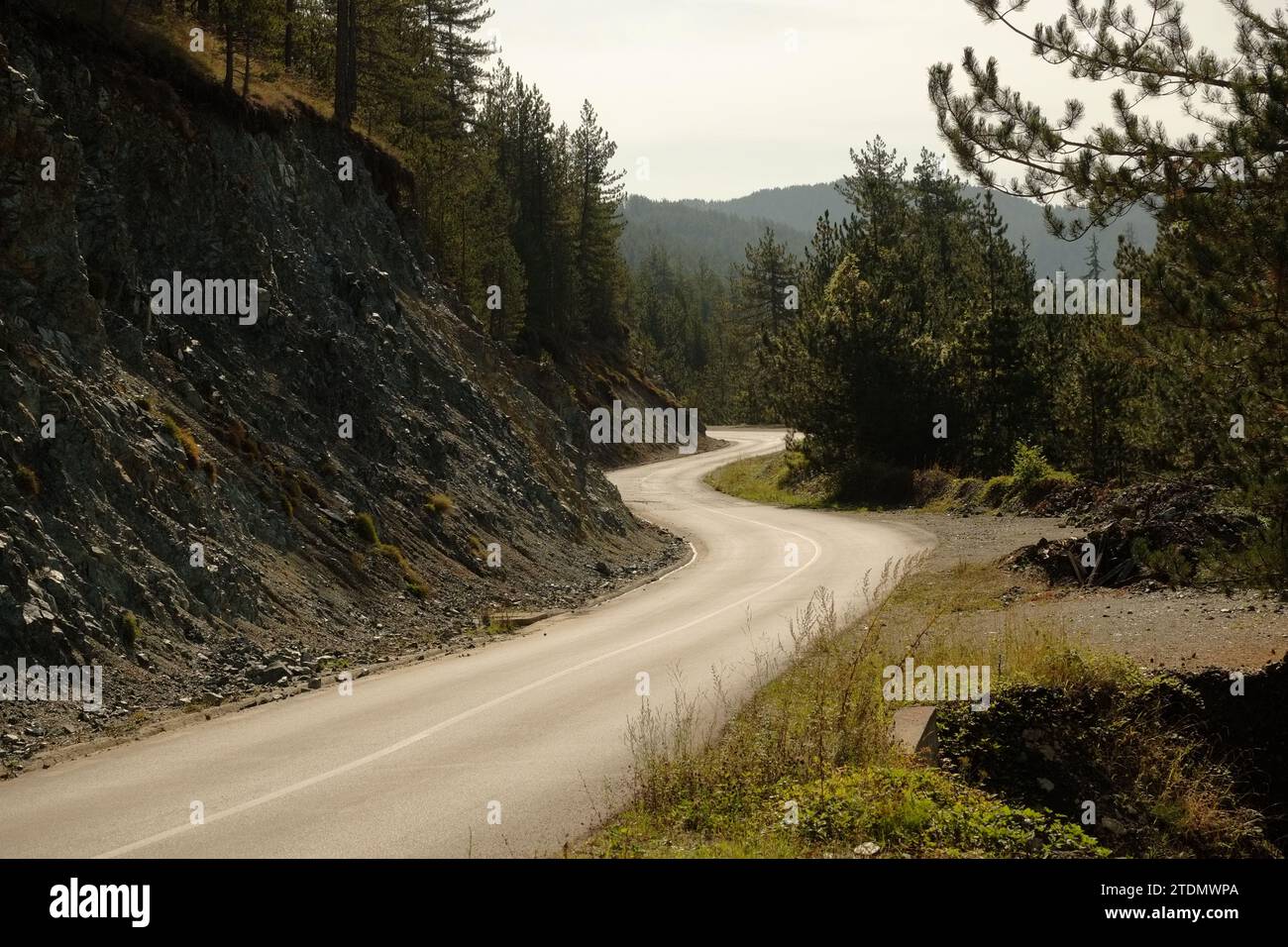 mountain winding road in Tara National Park, Mitrovac na Tari, Serbia ...
