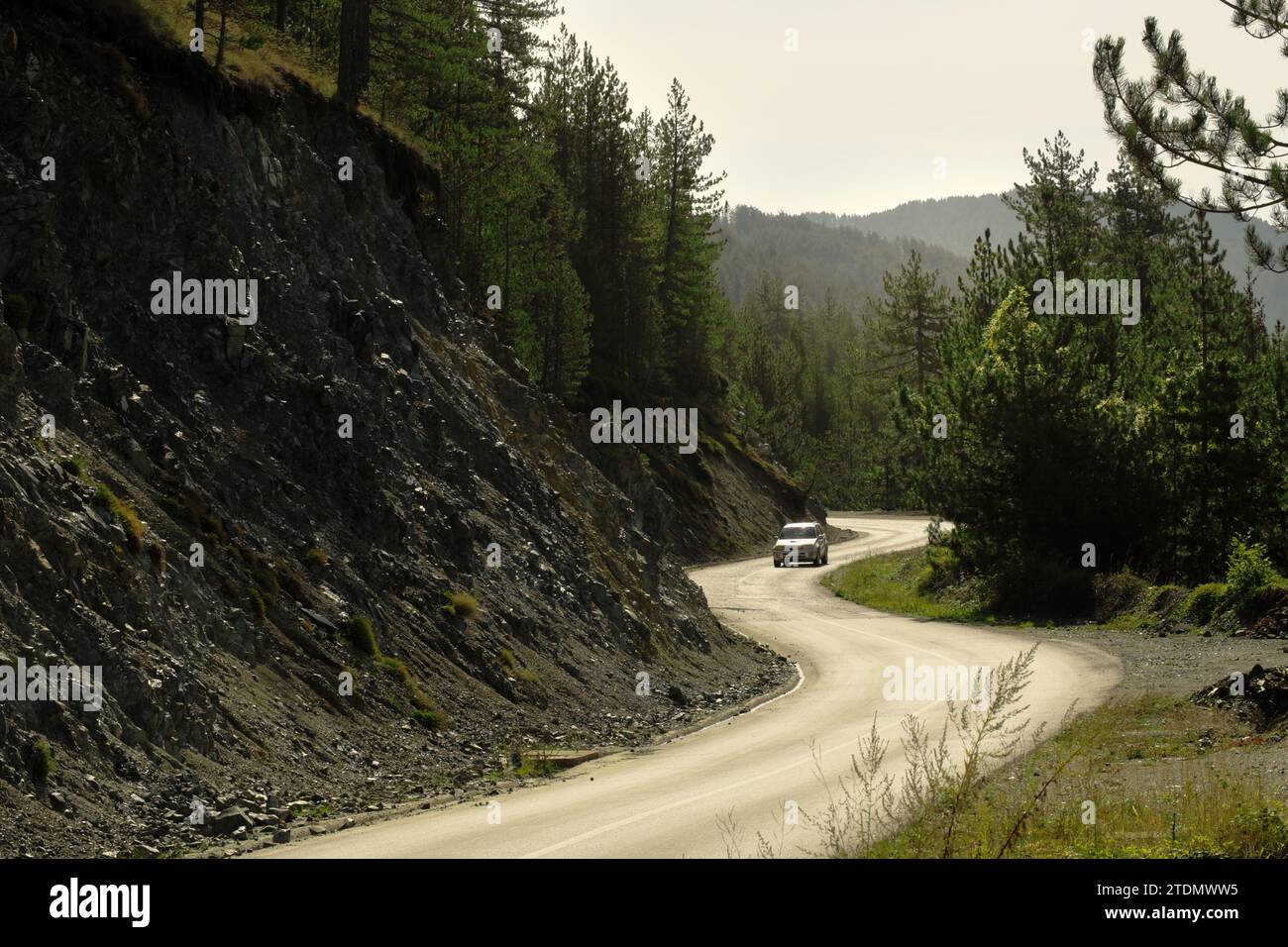 Winding road dark forest hi-res stock photography and images - Alamy