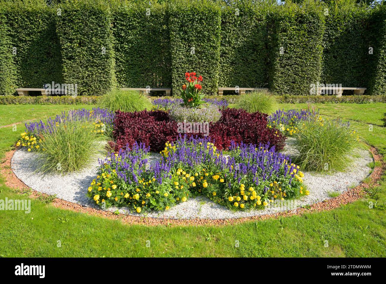 Polnische blumen hi-res stock photography and images - Alamy