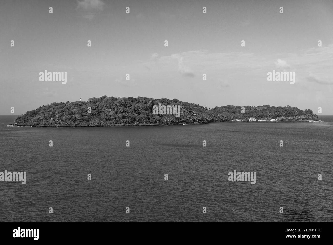 island landscape view with green nature. island landscape with jungle ...