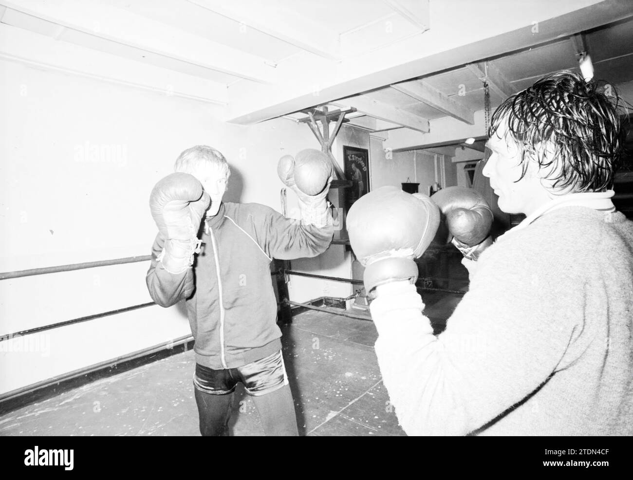 Boxer ruud koopmans hi-res stock photography and images - Alamy