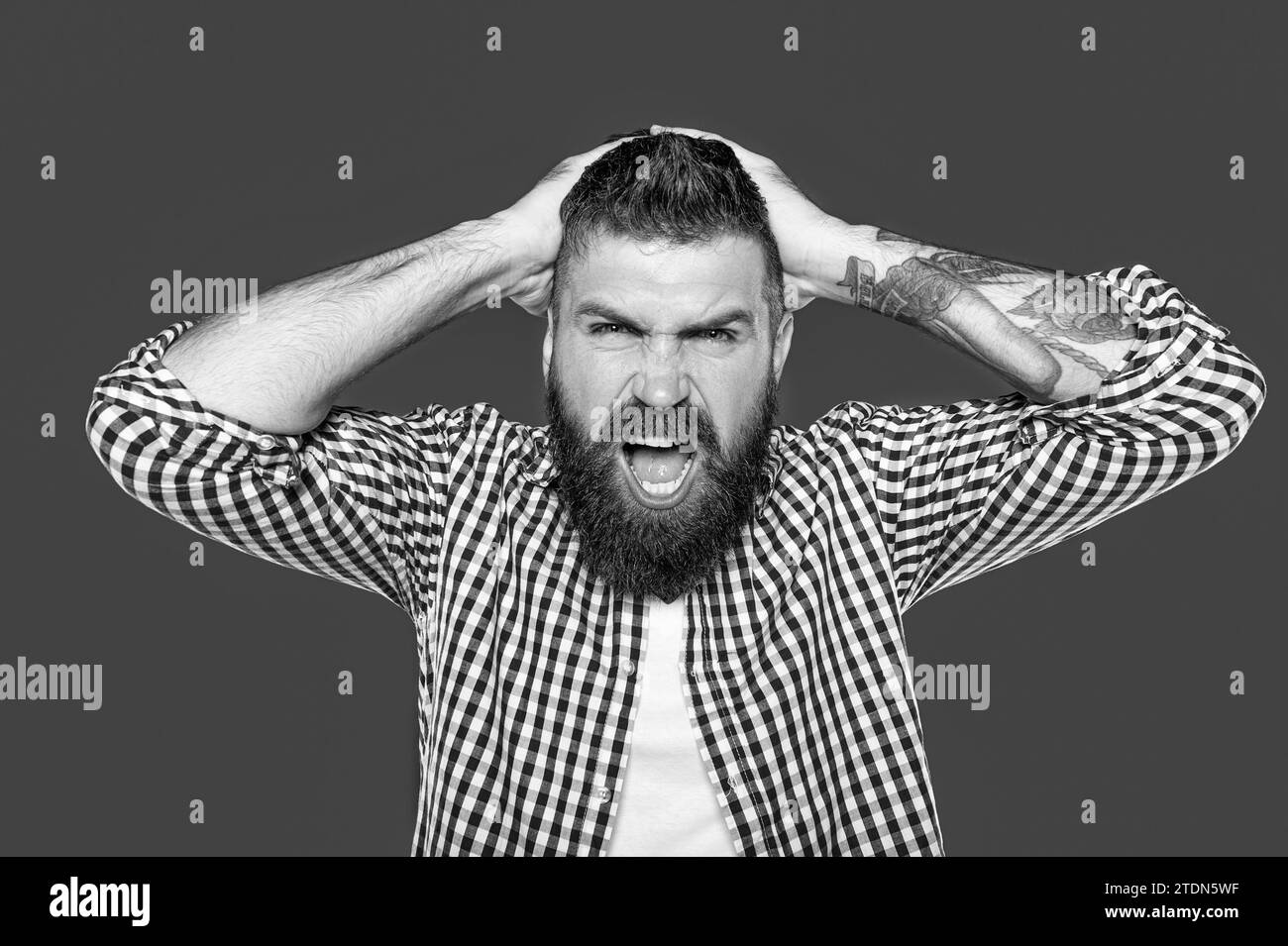 angry bearded man wear checkered shirt on grey background Stock Photo ...