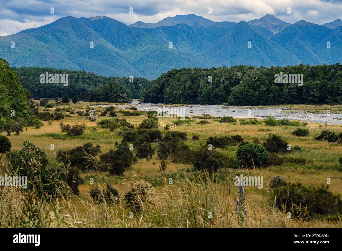 Maruia River in the Lewis Pass, West Coast, South Island, New Zealand ...