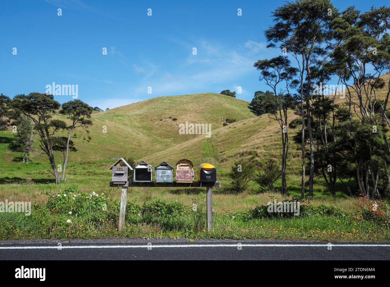 Rural mail boxes near Kawakawa Bay, Auckland Region, North Island, New ...