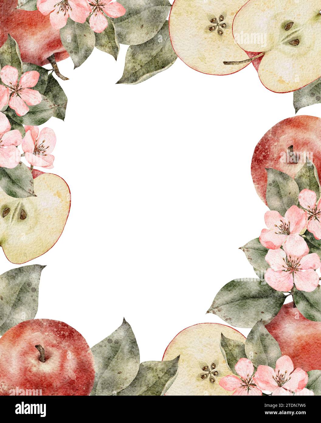 Watercolor blooming apple tree branches, green and red ripe Apples ...