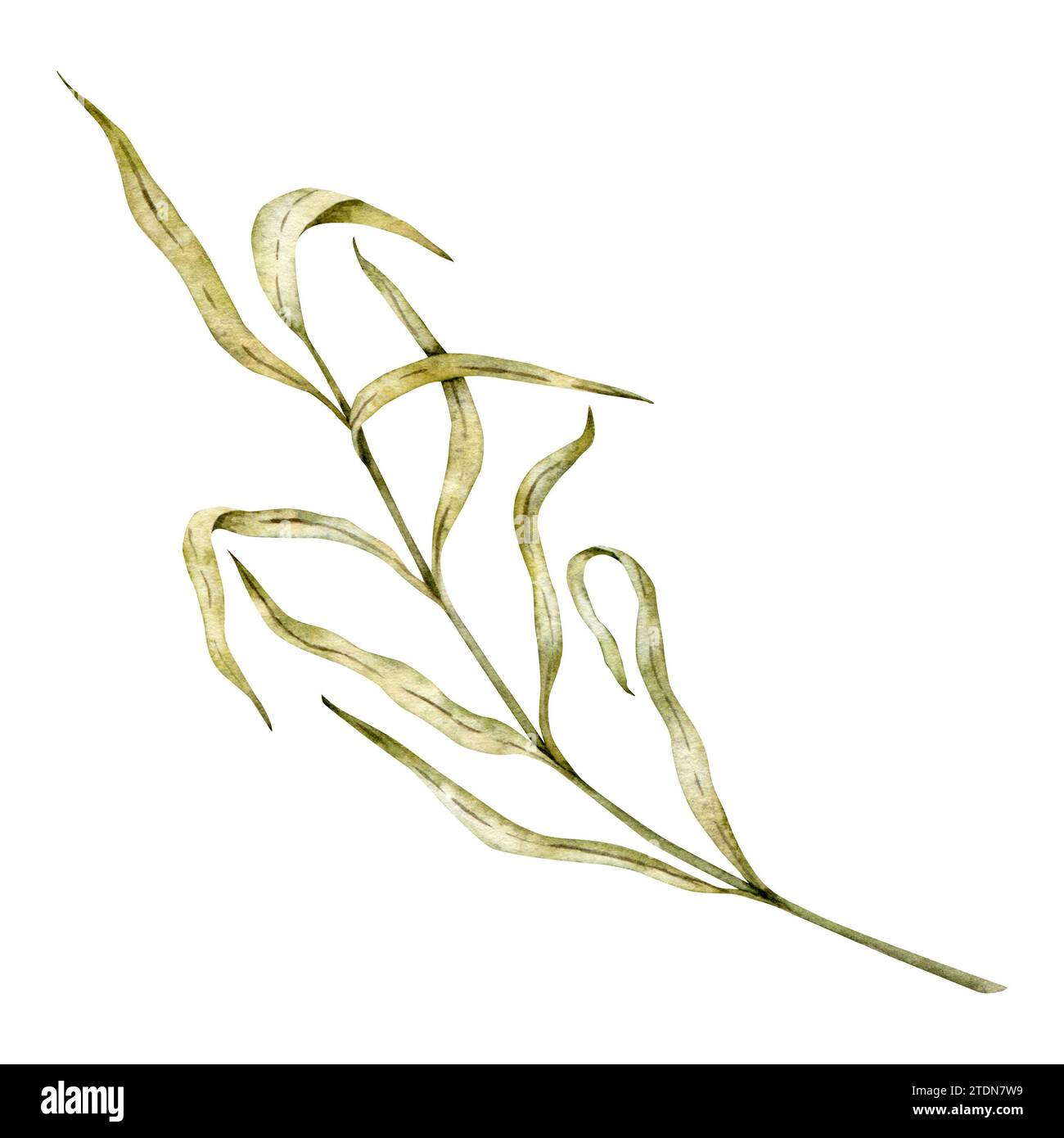 Rustic wedding greenery. Dried leaves, bleached grass, autumn herbal ...