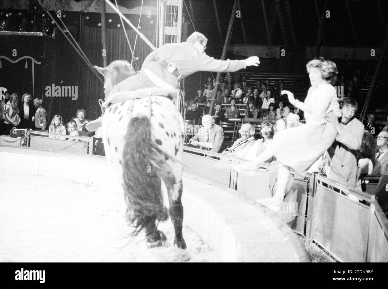 Circus Busch Roland in Haarlem, Circus, Haarlem, The Netherlands, 24-07 ...