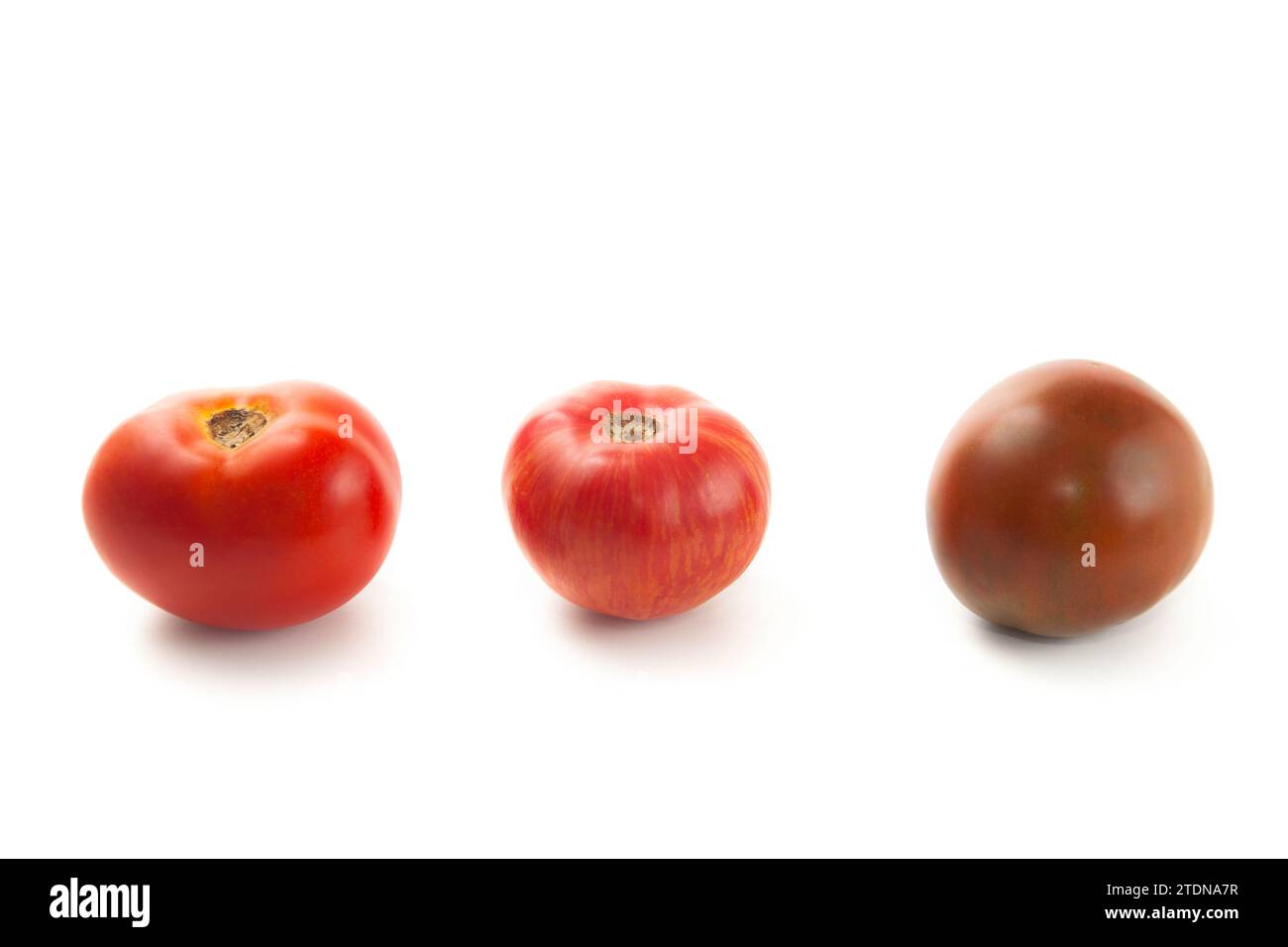 Assort of different color whole ripe juicy tomatoes with soft shadow ...