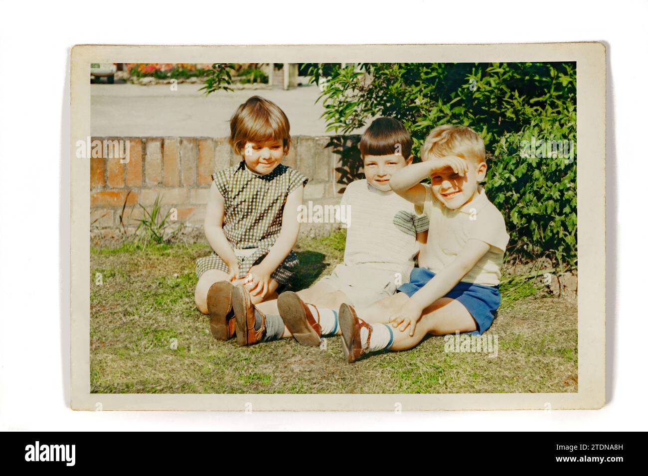 vintage photograph of three young children 1960s sitting on grass in ...