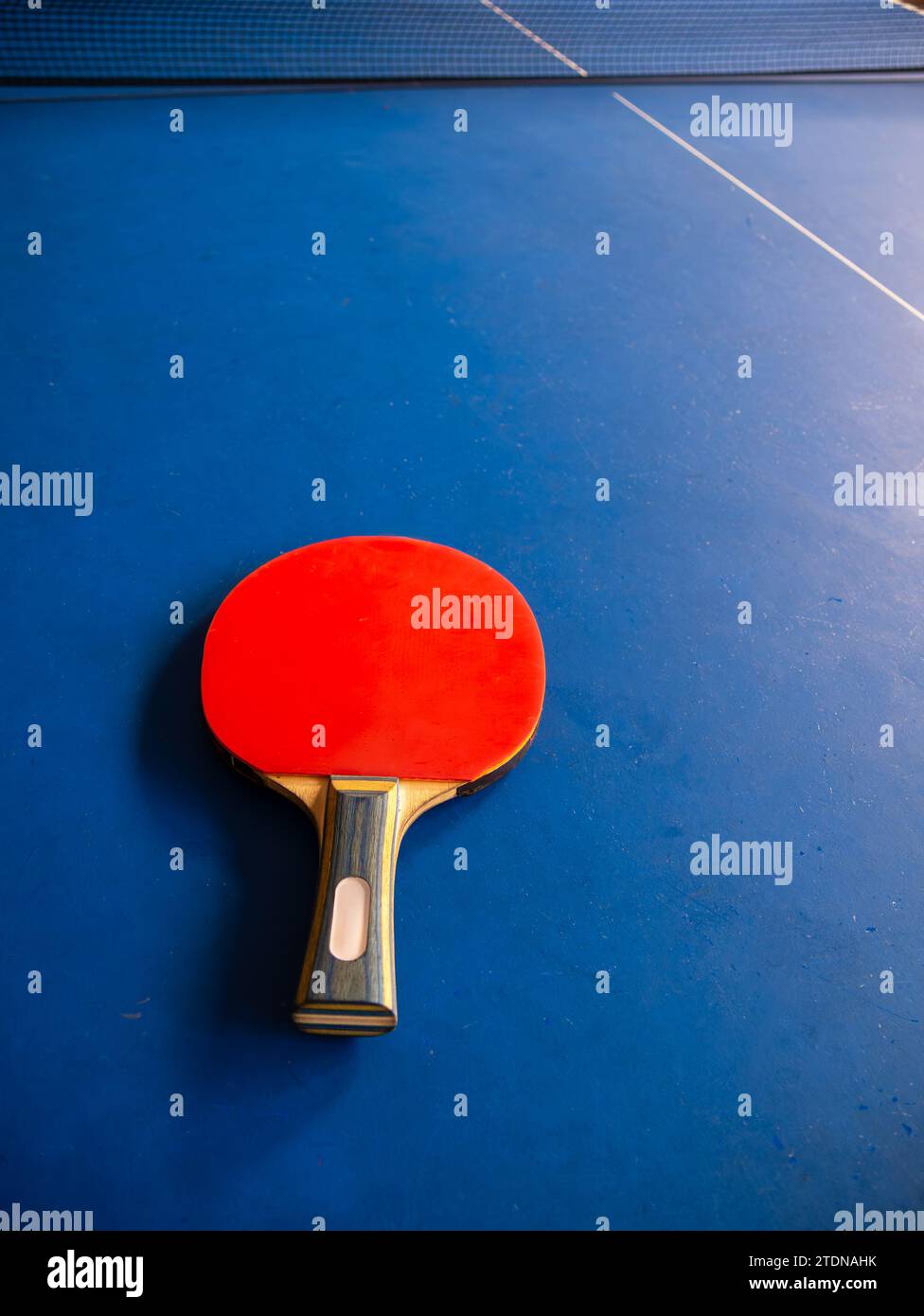 Blue professional paddle tennis hi-res stock photography and images - Alamy