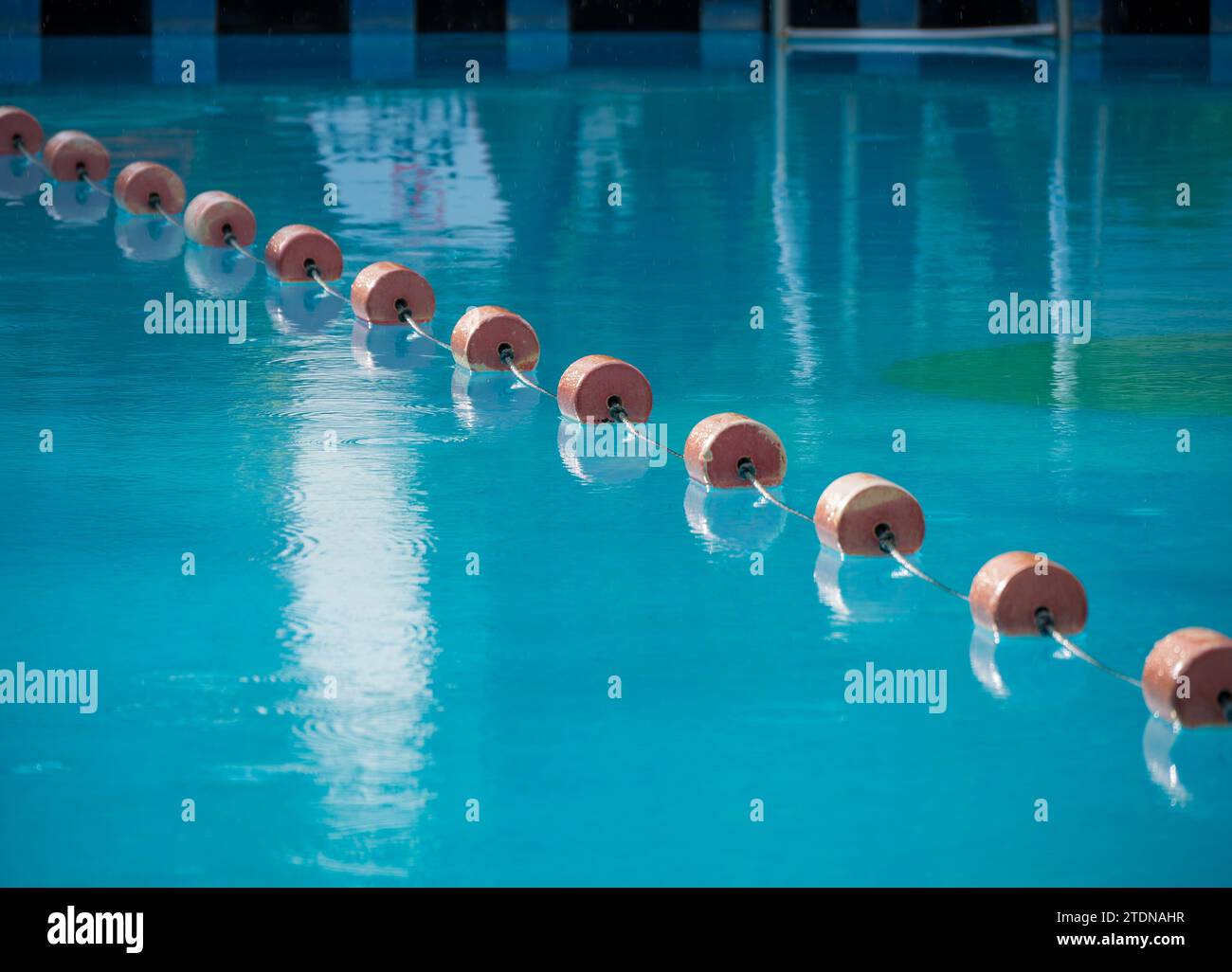 Floating lane divider in a swimming pool Stock Photo - Alamy