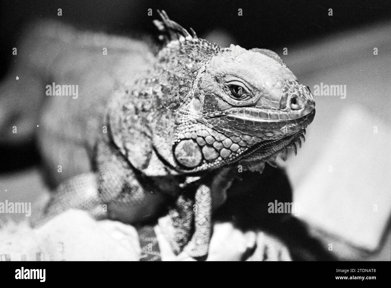 27 09 1993 hi-res stock photography and images - Alamy