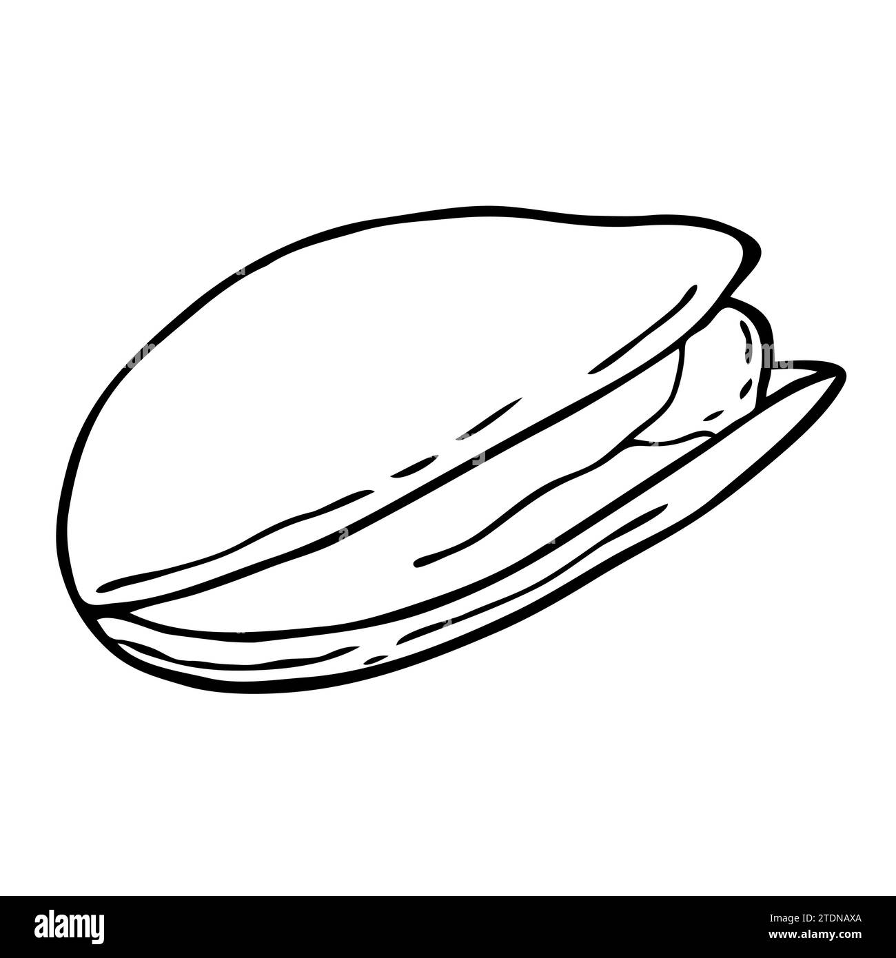 Pistachio contour doodle sketch hand drawn, isolated on white ...
