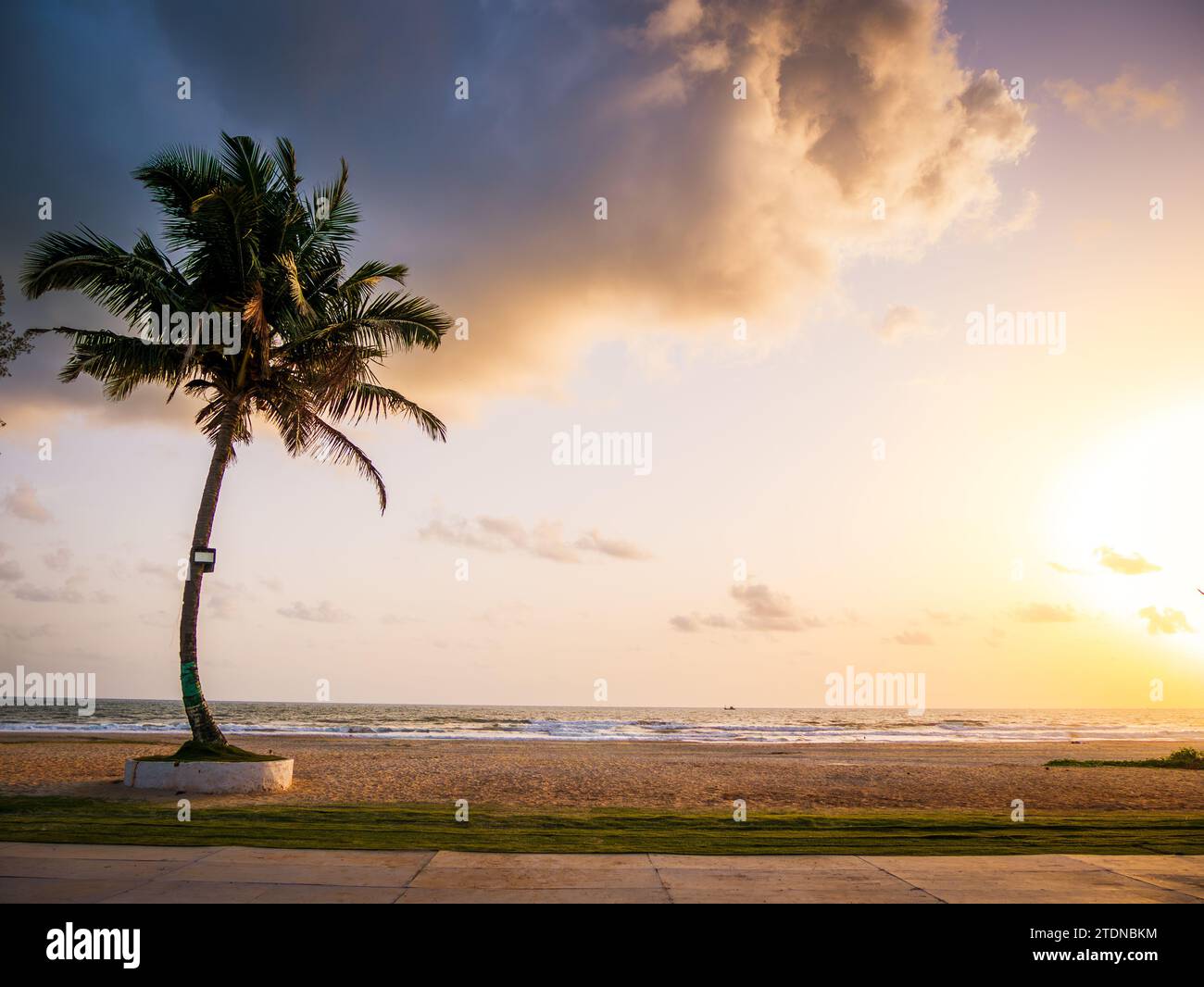 Palm tree at sea shore during sun set and beautiful clouds Stock Photo ...