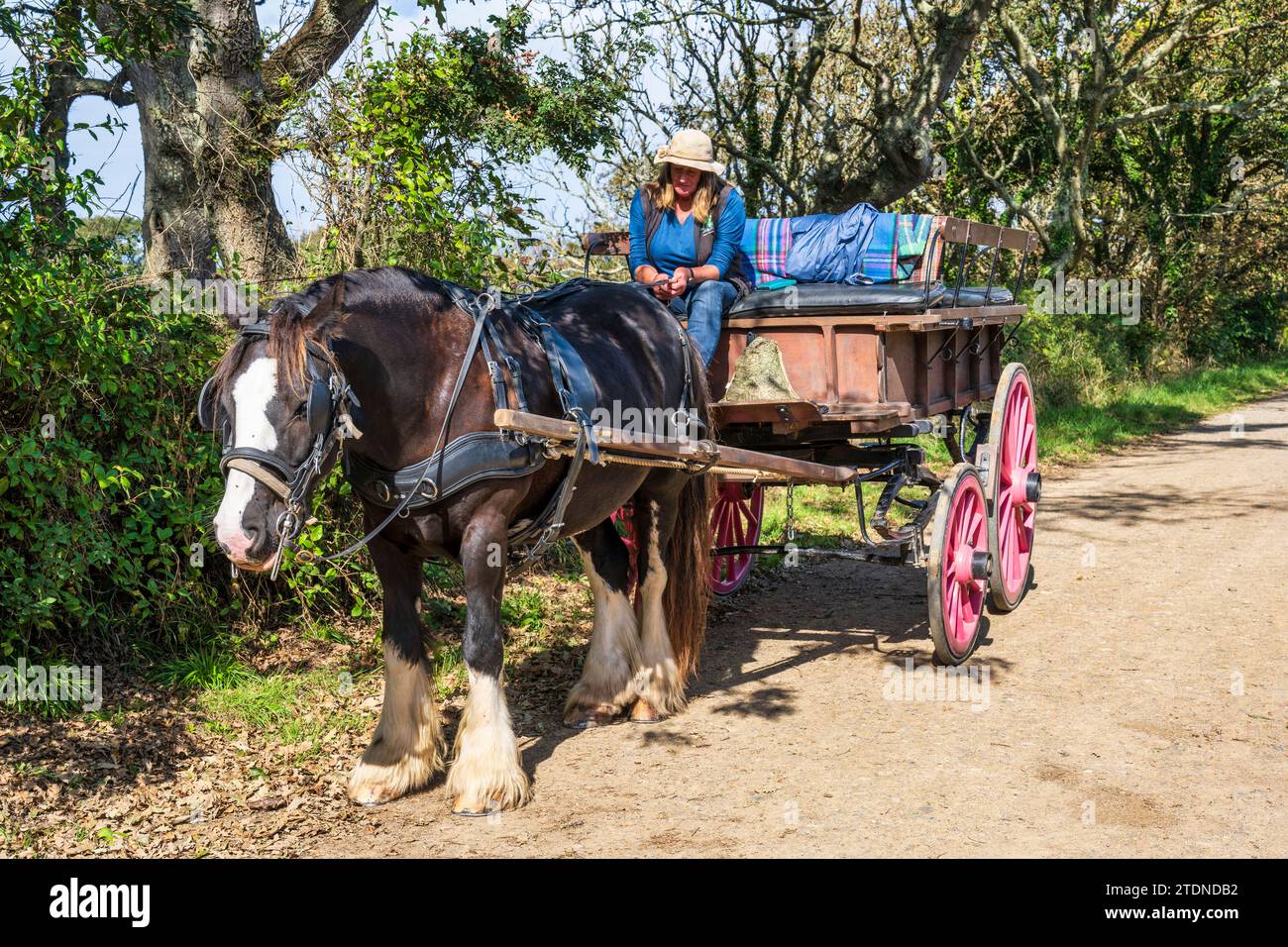 Tourist horse and cart, Sark, Bailiwick of Guernsey, Channel Islands ...
