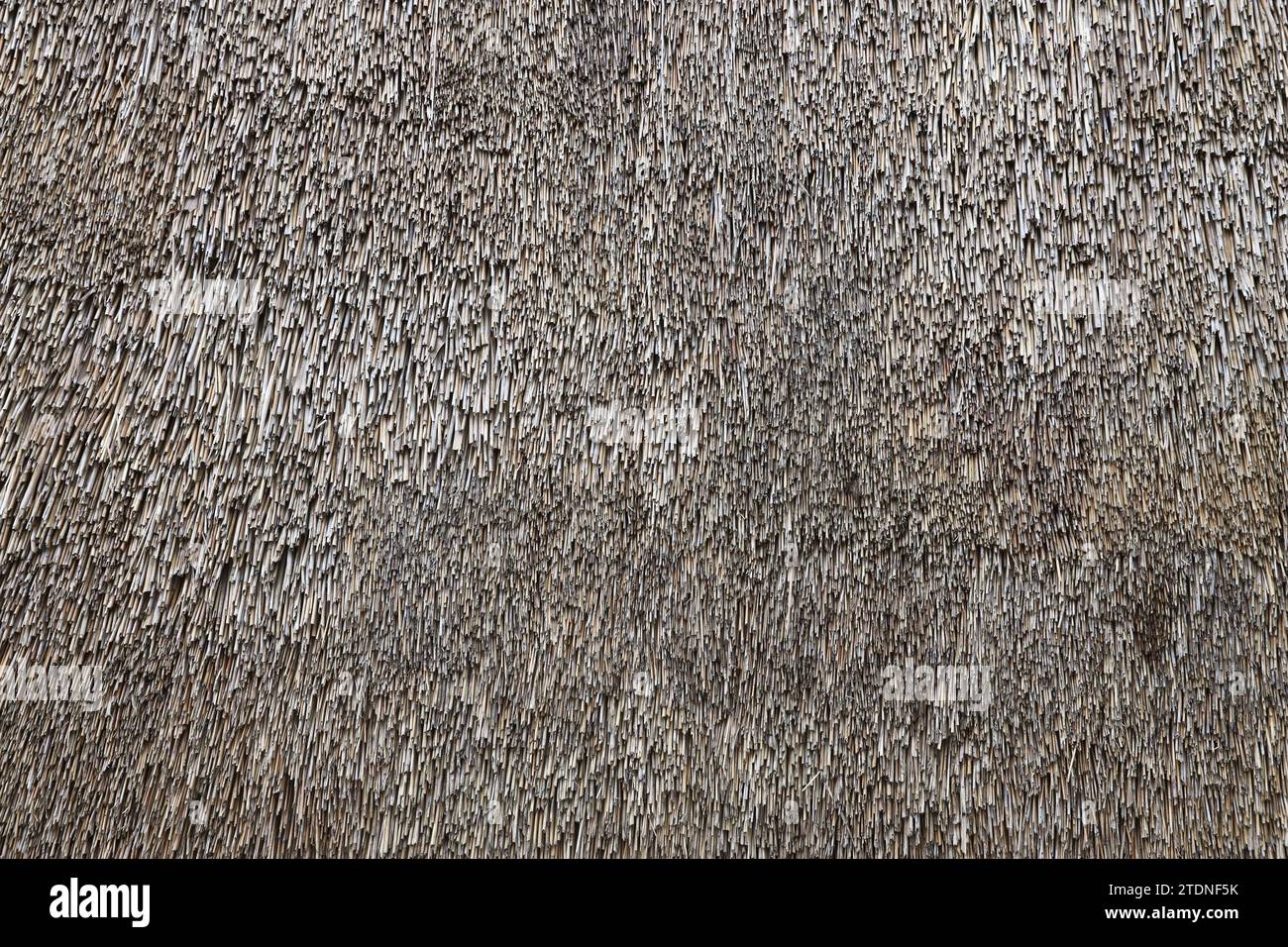 Texture of hay bale background or dry grass background. Textured hay ...