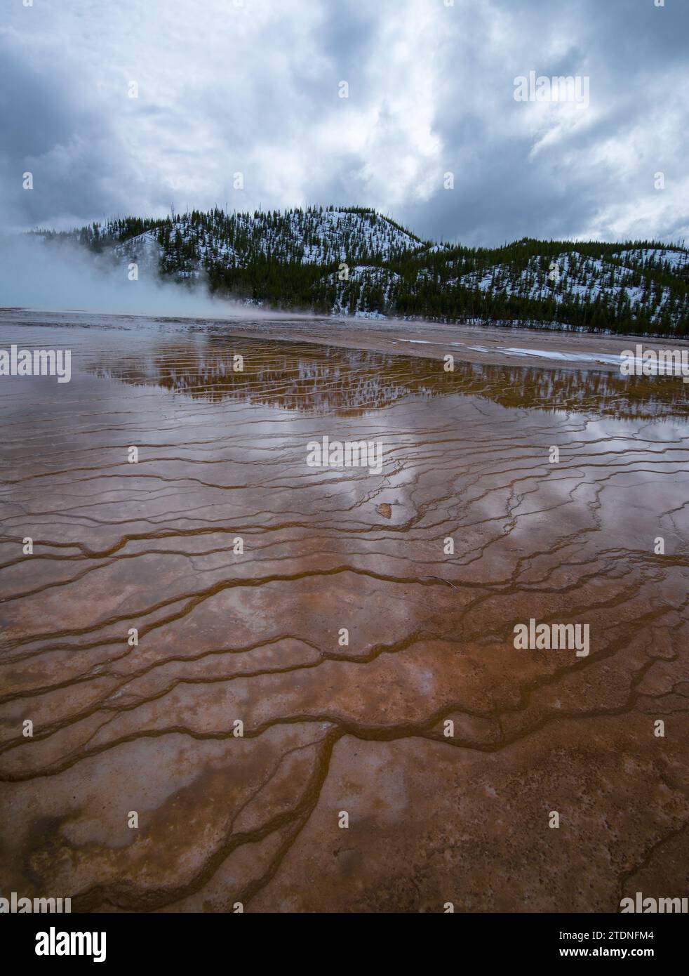 Geologic feature and pool with brown formations at Yellowstone National ...