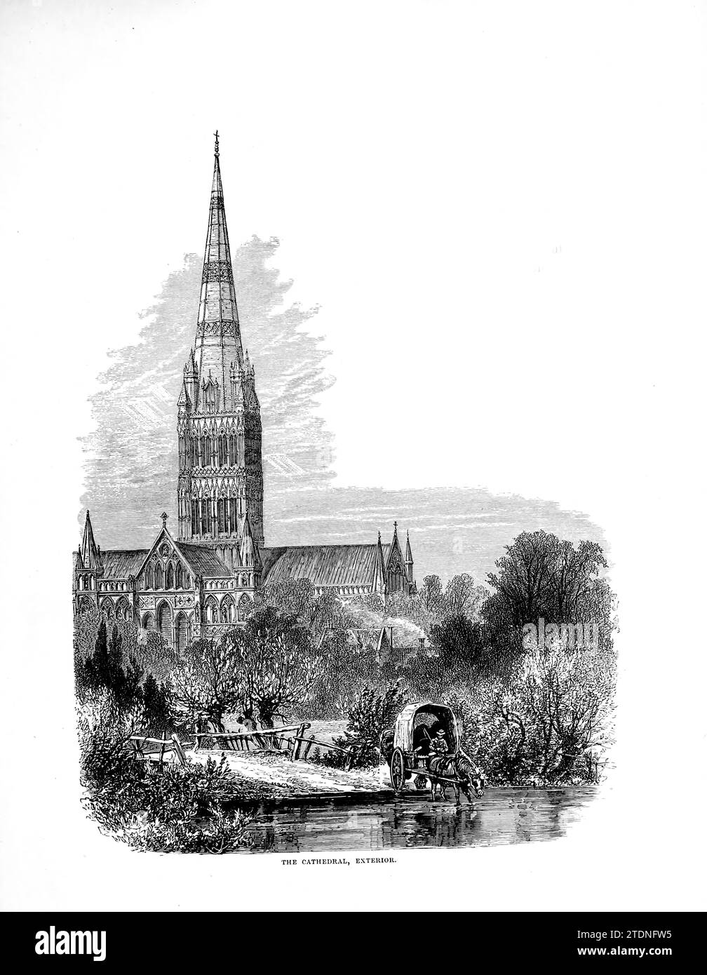 Salisbury cathedral from the book ' Cathedrals, abbeys and churches of ...