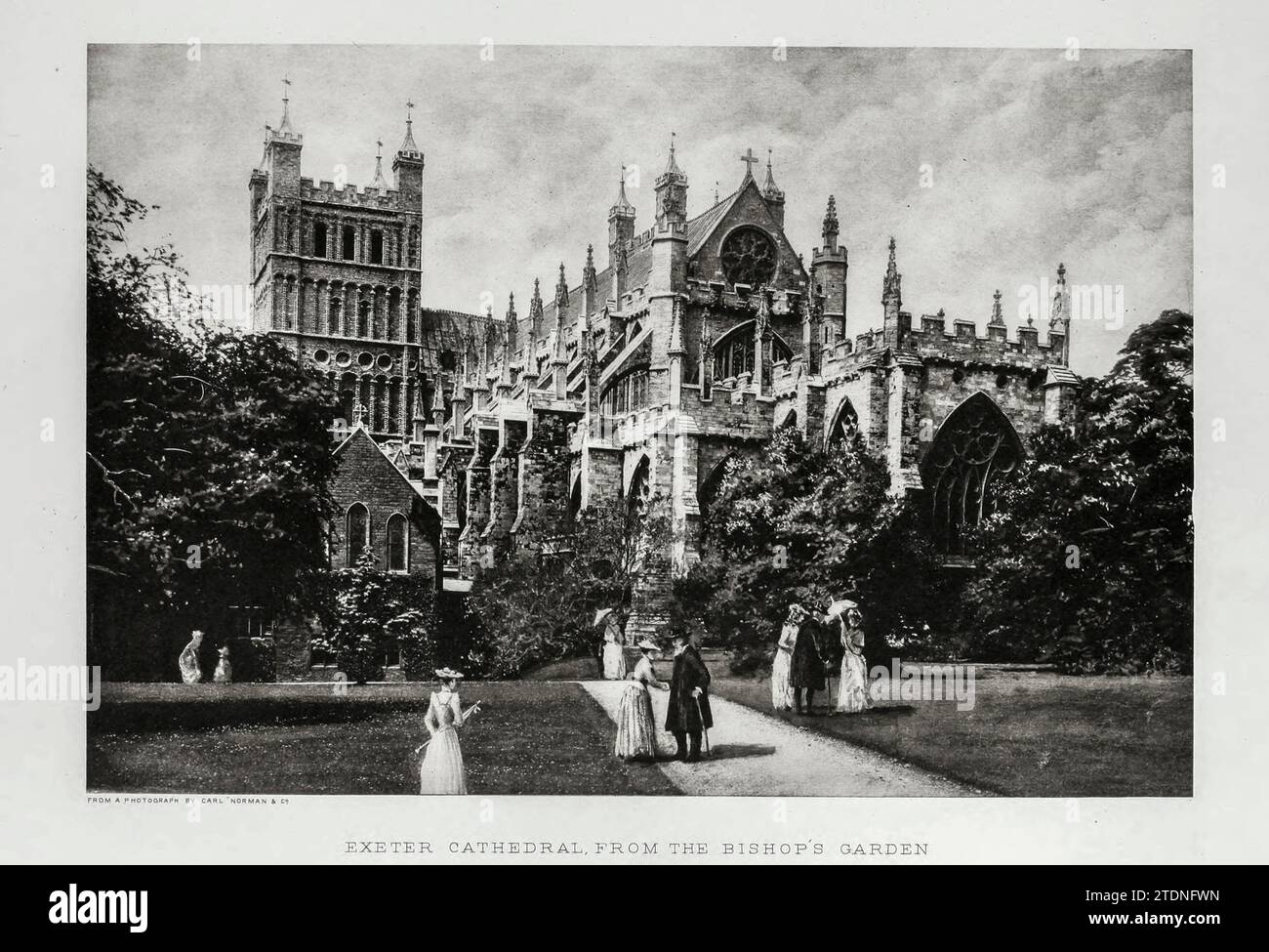 Exeter cathedral from the Bishop's Garden from the book ' Cathedrals ...