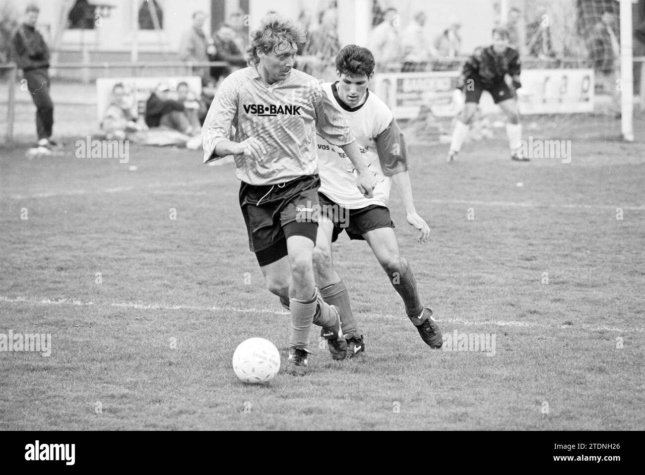Zuidvogels hi-res stock photography and images - Alamy
