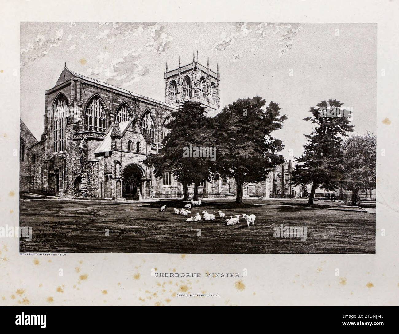 Minster sherborne hi-res stock photography and images - Alamy