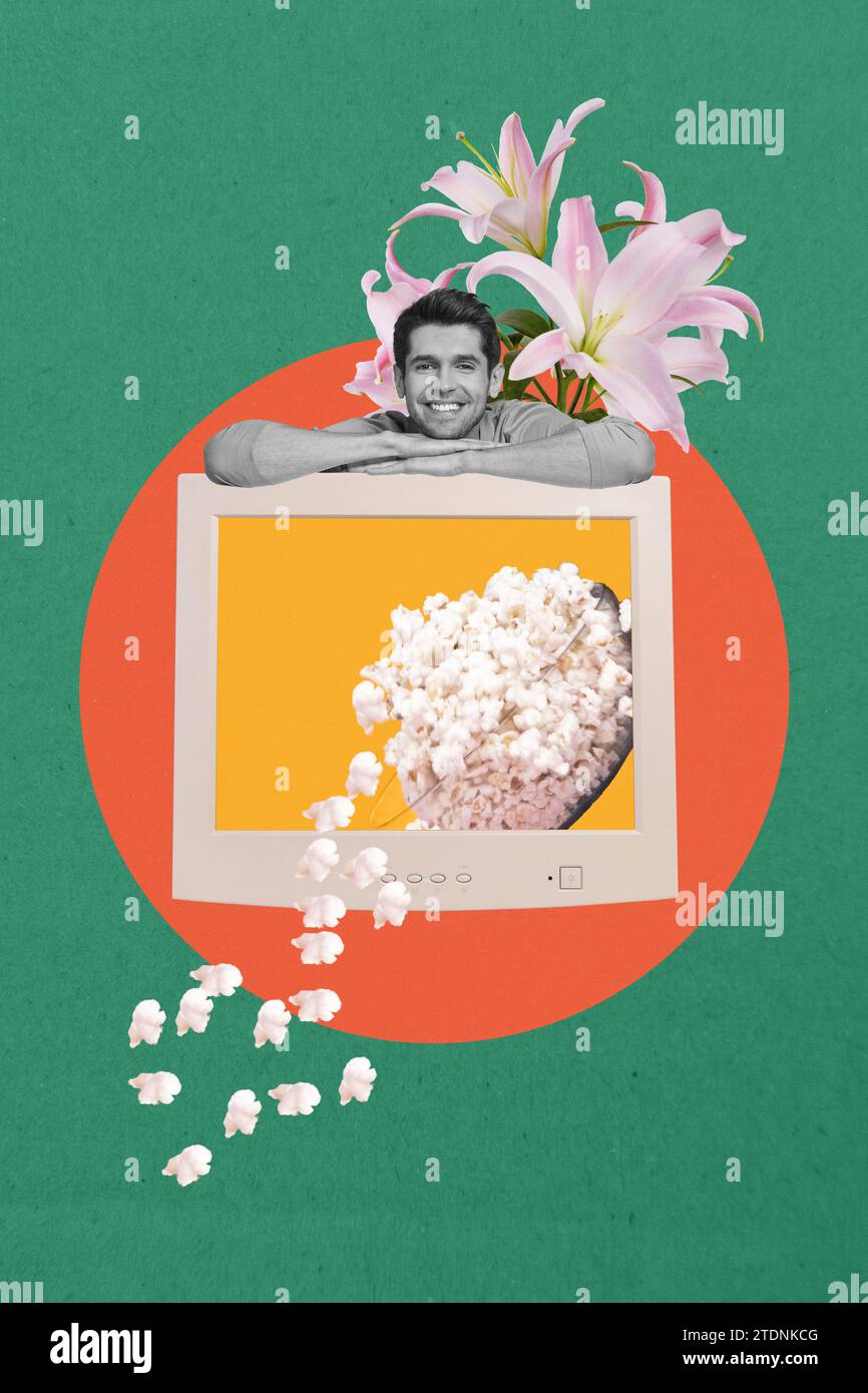 Collage image poster of cheerful happy man pc computer display ...