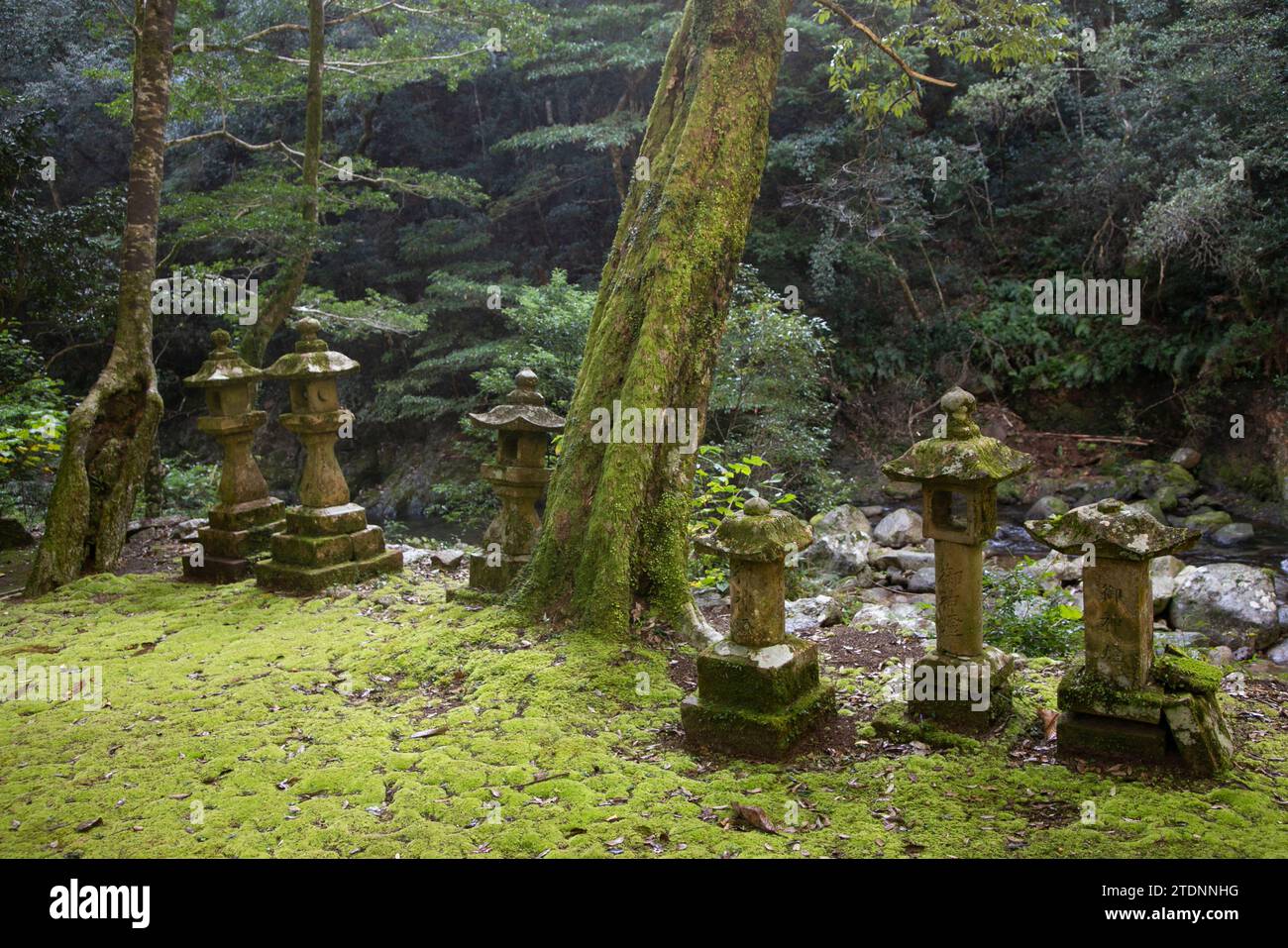 Carved stone monoliths at a Japanese shrine in Wakayama Prefecture in ...