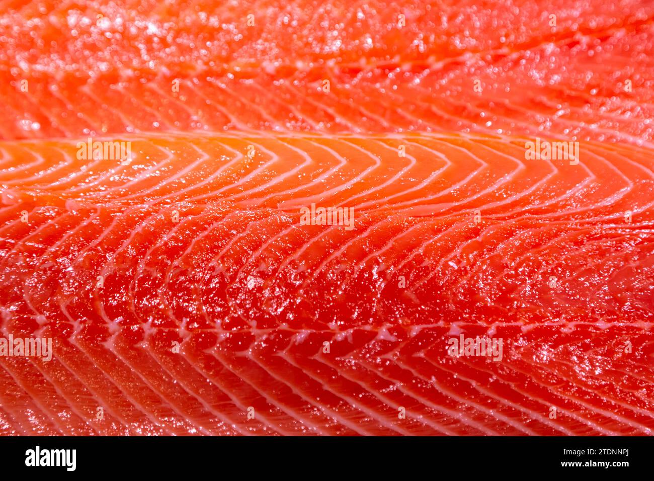 Red fish fillet meat close-up. Trout or salmon, texture and macro photo ...