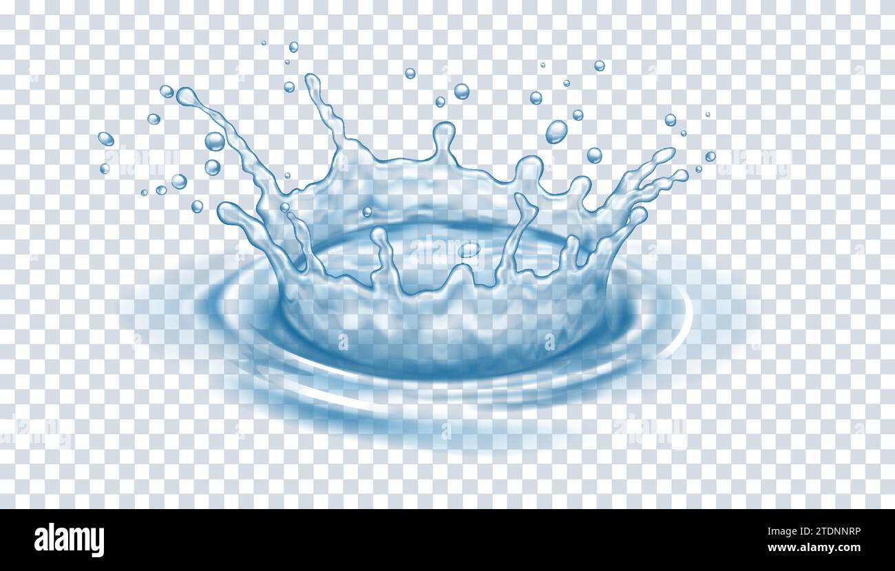 Crown of water splashes realistic vector illustration. Pure liquid ...