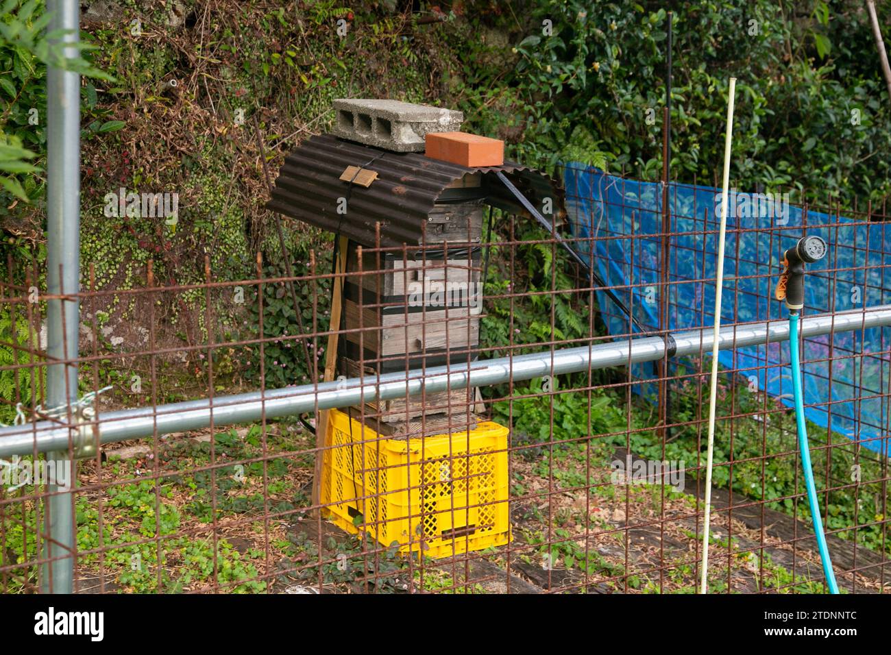 Bee farm in a rural village in Wakayama, Japan Stock Photo - Alamy