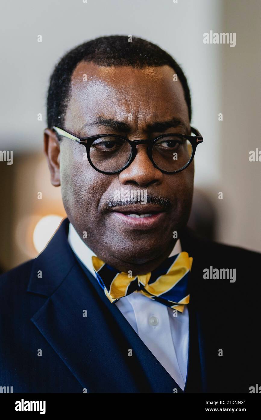 Akinwumi Adesina, President of the African Development Bank (AfEB ...