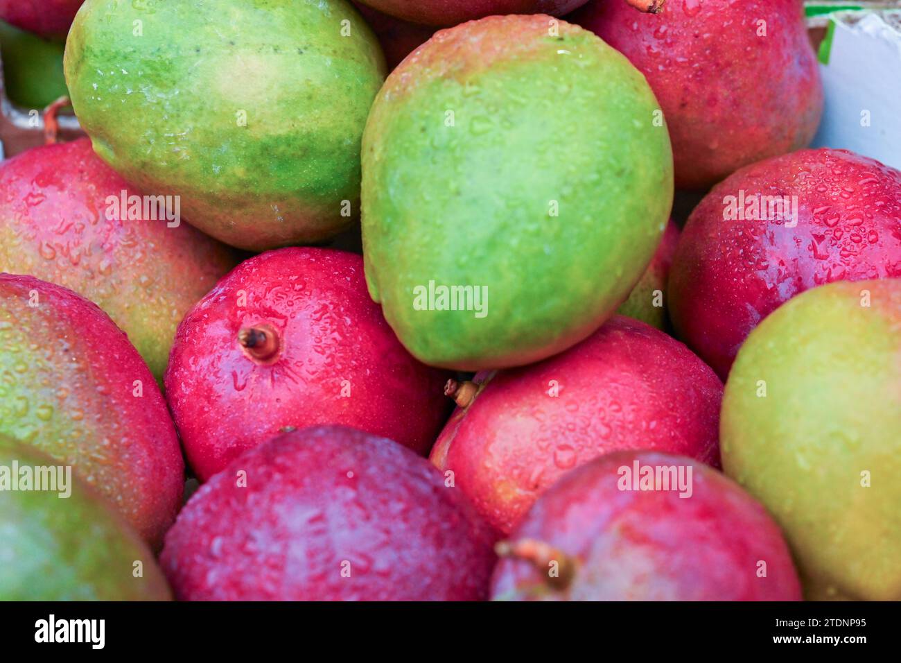 Fresh mangoes from the farmers market Stock Photo - Alamy