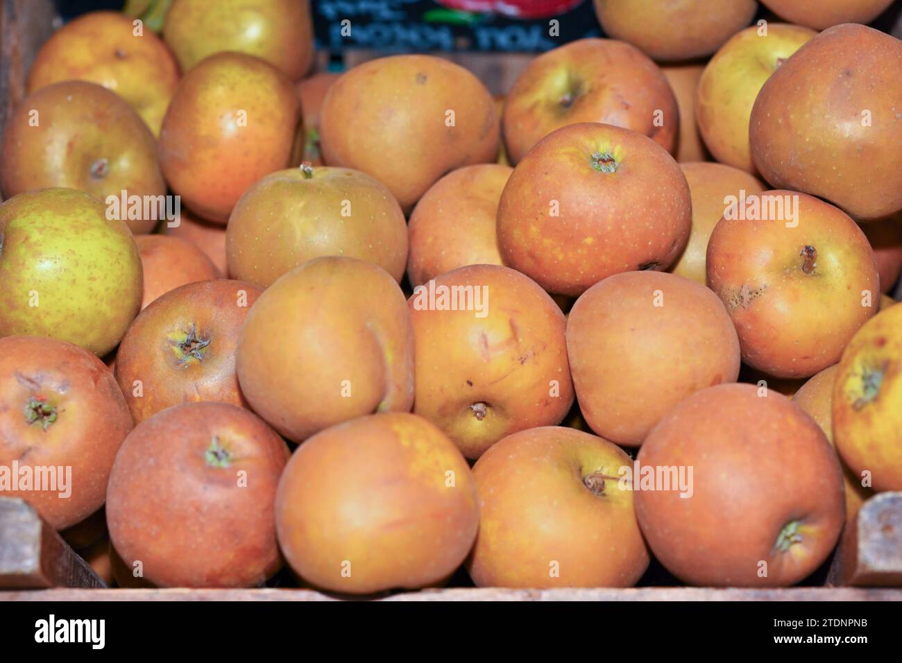 Russetts hi-res stock photography and images - Alamy